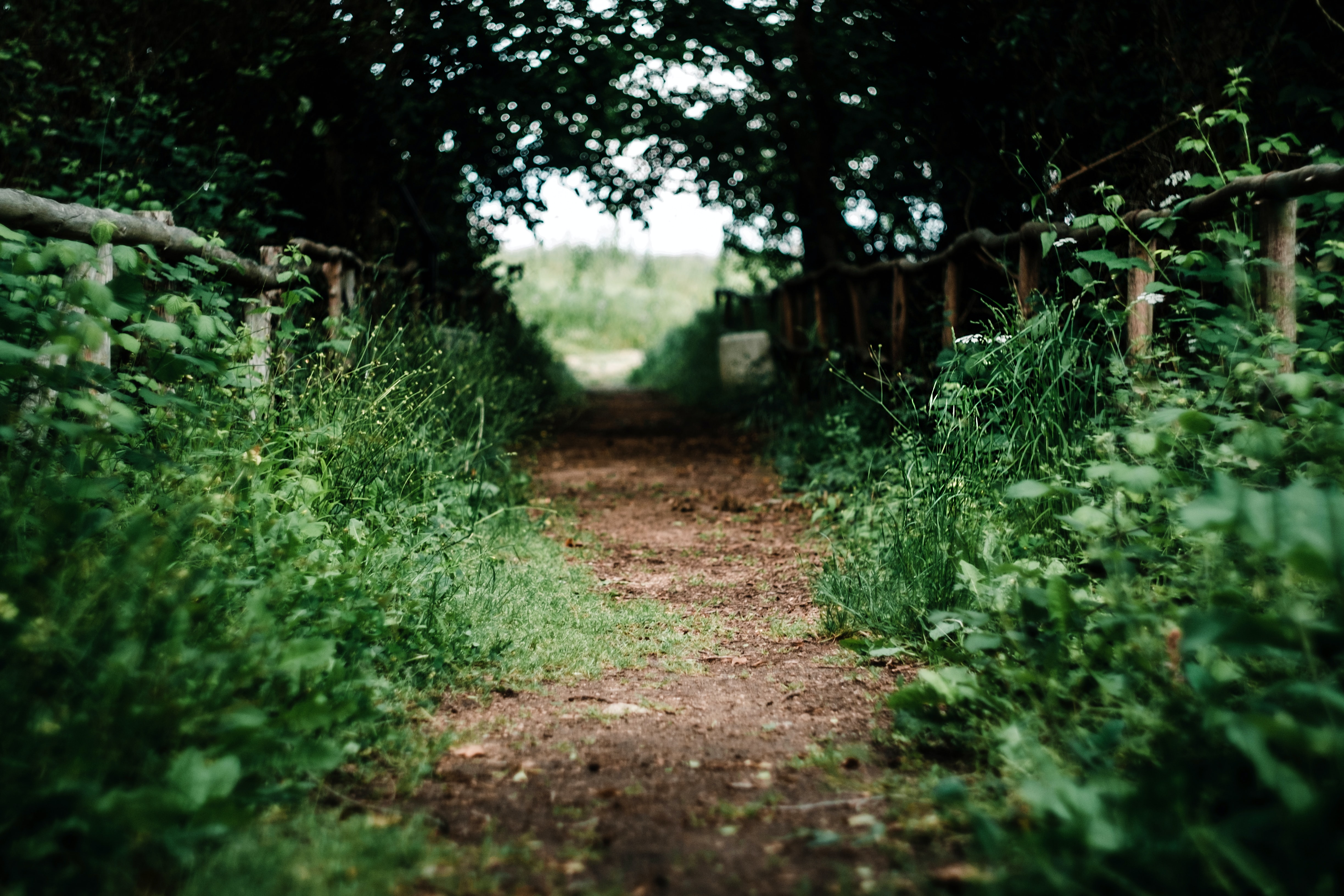 The Old Paths | bibleteacher.org